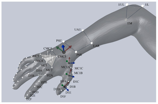 Development and Application of a Motion Analysis Protocol for the Kinematic Evaluation of Basic ...