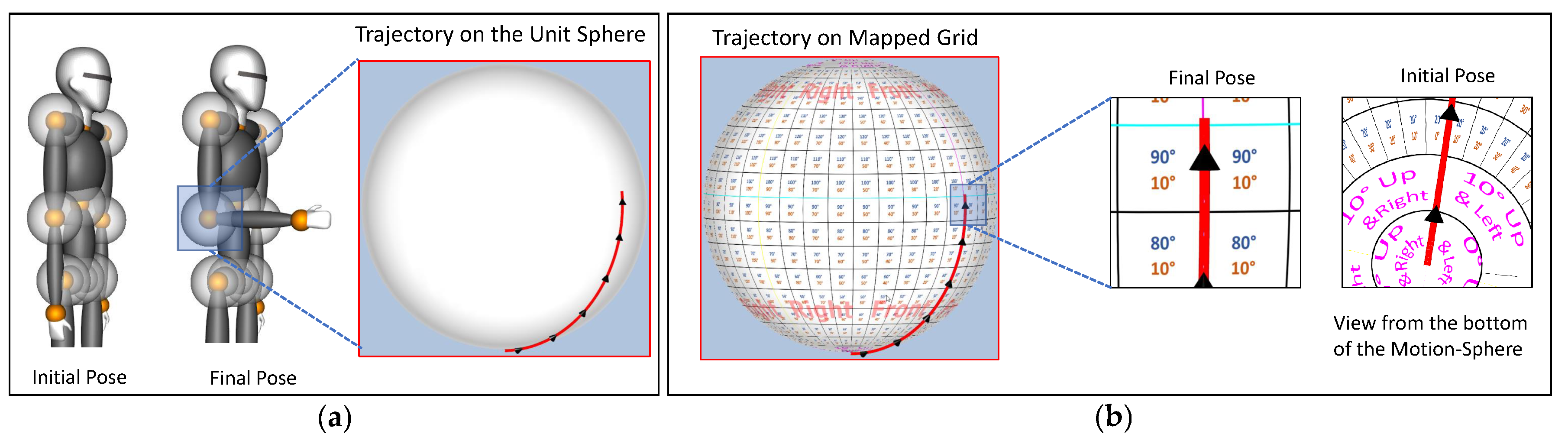 Motion-Sphere: Visual Representation of the Subtle Motion of Human Joints
