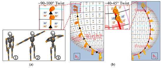 Motion-Sphere: Visual Representation of the Subtle Motion of Human Joints