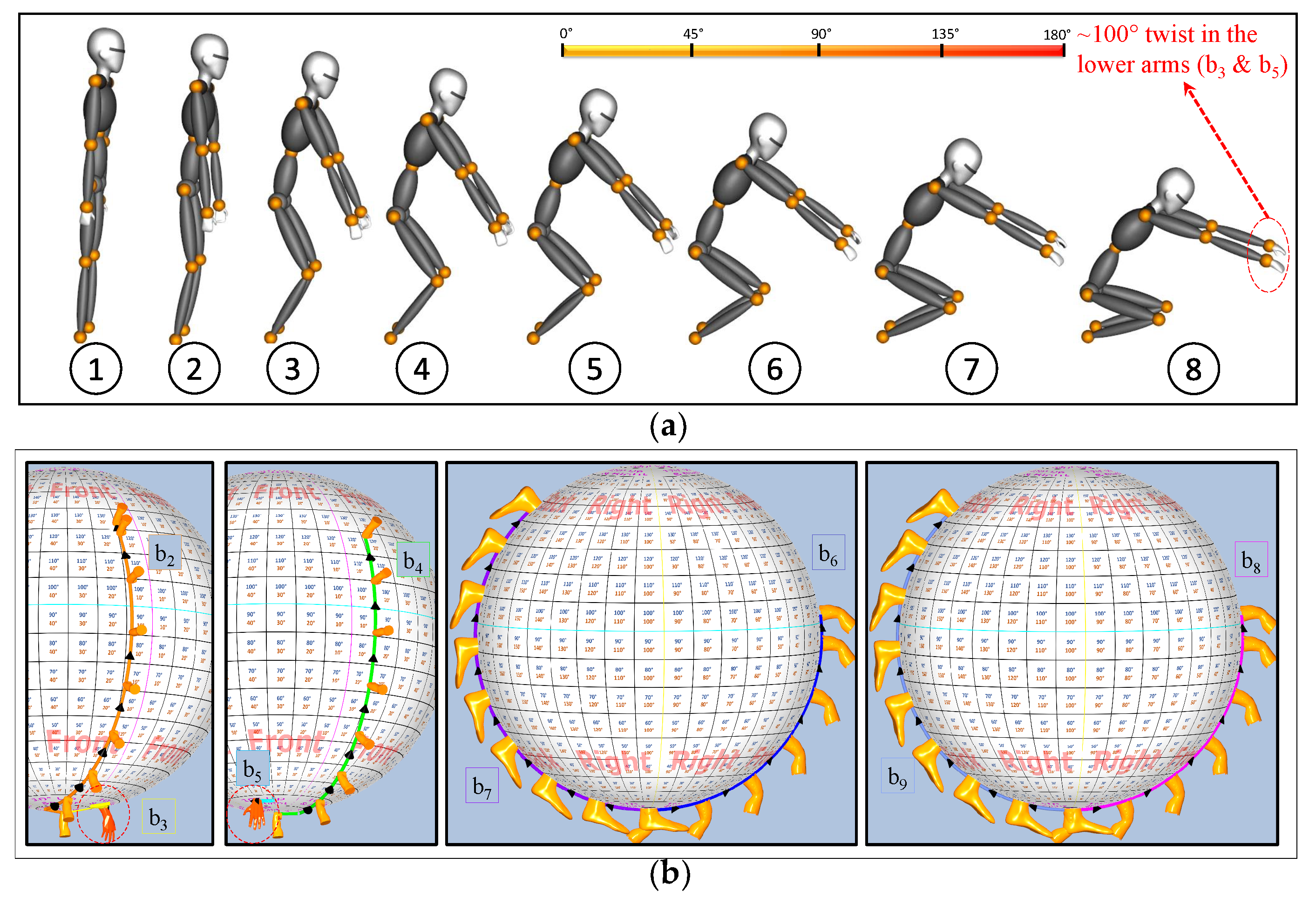 Motion-Sphere: Visual Representation of the Subtle Motion of Human Joints