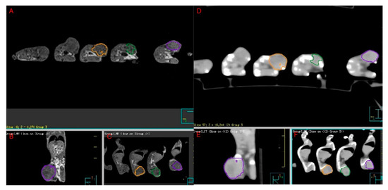 Applied Sciences | Special Issue : Quantitative Image Analysis for ...