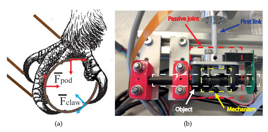 A Bio-Inspired Manipulator with Claw Prototype for Winged Aerial Robots ...