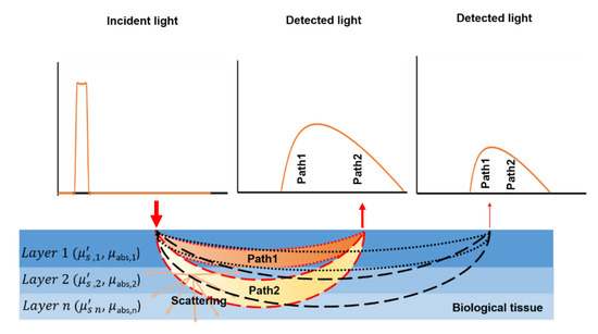 Recent Developments in Instrumentation of Functional Near-Infrared ...