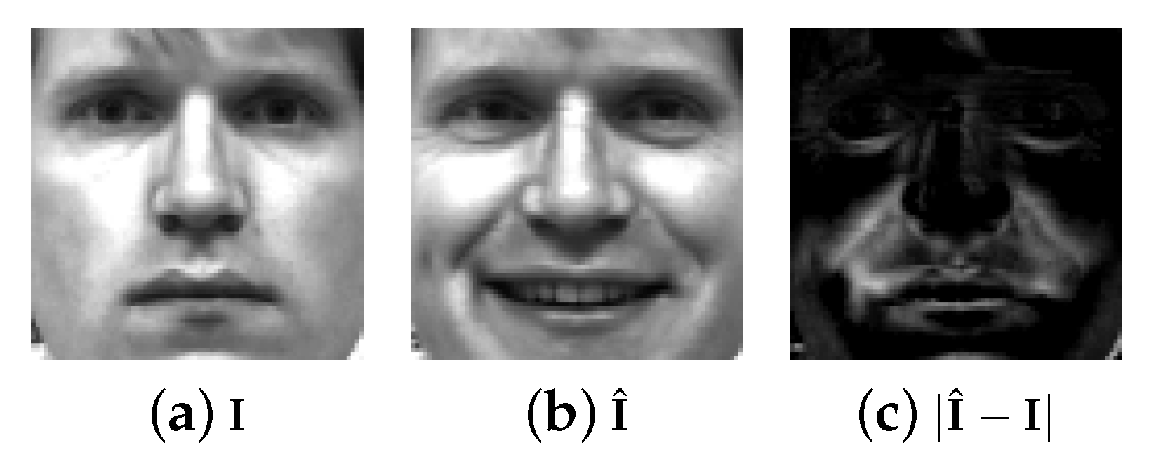 Training Set Enlargement Using Binary Weighted Interpolation Maps for ...