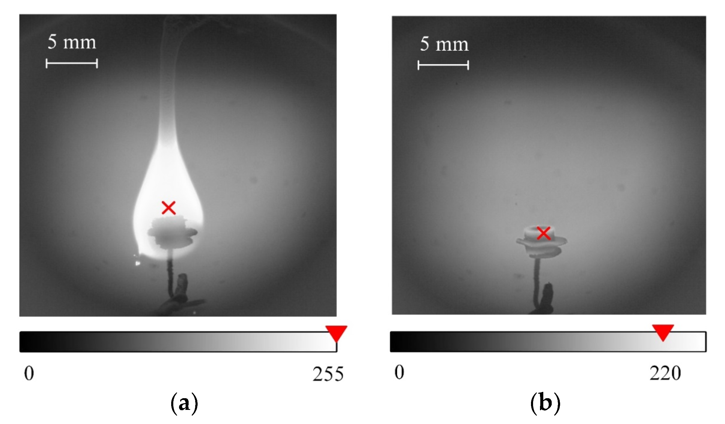 Additives to Coal-Based Fuel Pellets for the Intensification of ...