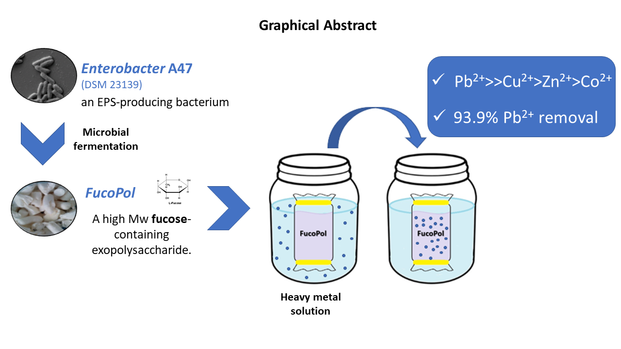 Applied Sciences | Free Full-Text | Biosorption of Heavy Metals by the ...