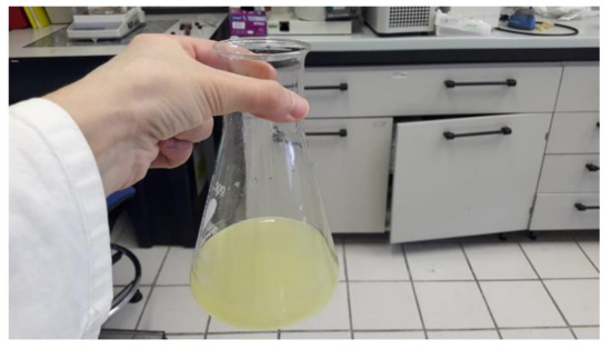 Technical and Economic Feasibility of a Stable Yellow Natural Colorant ...