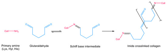 Crosslinking Collagen Constructs: Achieving Cellular Selectivity ...
