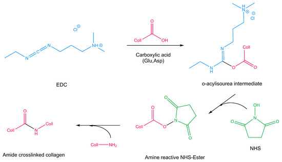 Crosslinking Collagen Constructs: Achieving Cellular Selectivity ...