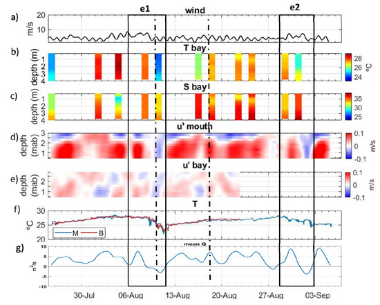 Wind-Driven Hydrodynamics in the Shallow, Micro-Tidal Estuary at the Fangar Bay (Ebro Delta, NW ...