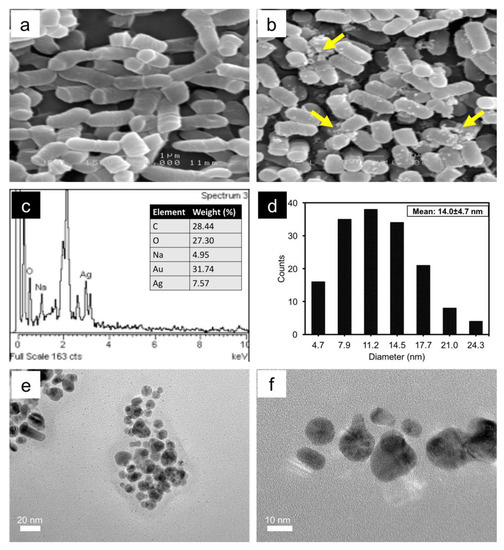 Microbial Mediated Synthesis of Silver Nanoparticles by Lactobacillus Plantarum TA4 and its ...