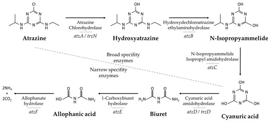 Applied Sciences | Free Full-Text | Microbial Community and Atrazine ...