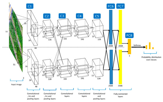 Lightweight Semantic Segmentation Network For Real Time Weed Mapping Using Unmanned Aerial Vehicles