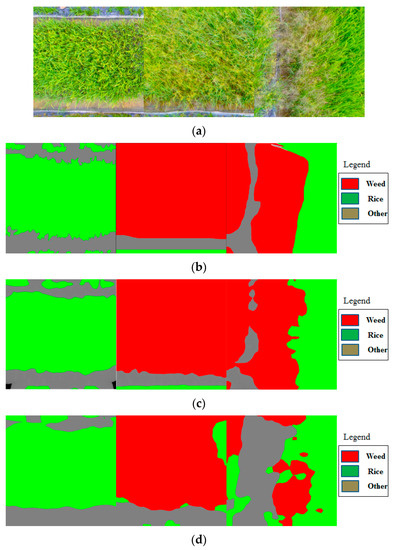 Lightweight Semantic Segmentation Network For Real Time Weed Mapping Using Unmanned Aerial Vehicles