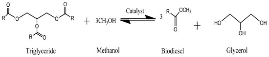 Influence of Heterogeneous Catalysts and Reaction Parameters on the ...