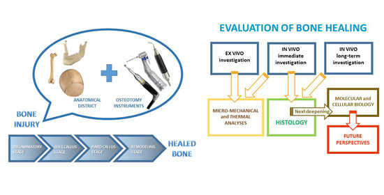 Applied Sciences | Free Full-Text | Bone Healing Evaluation Following ...