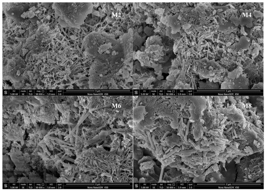 The Application of Seabed Silt in the Preparation of Artificial Algal Reefs