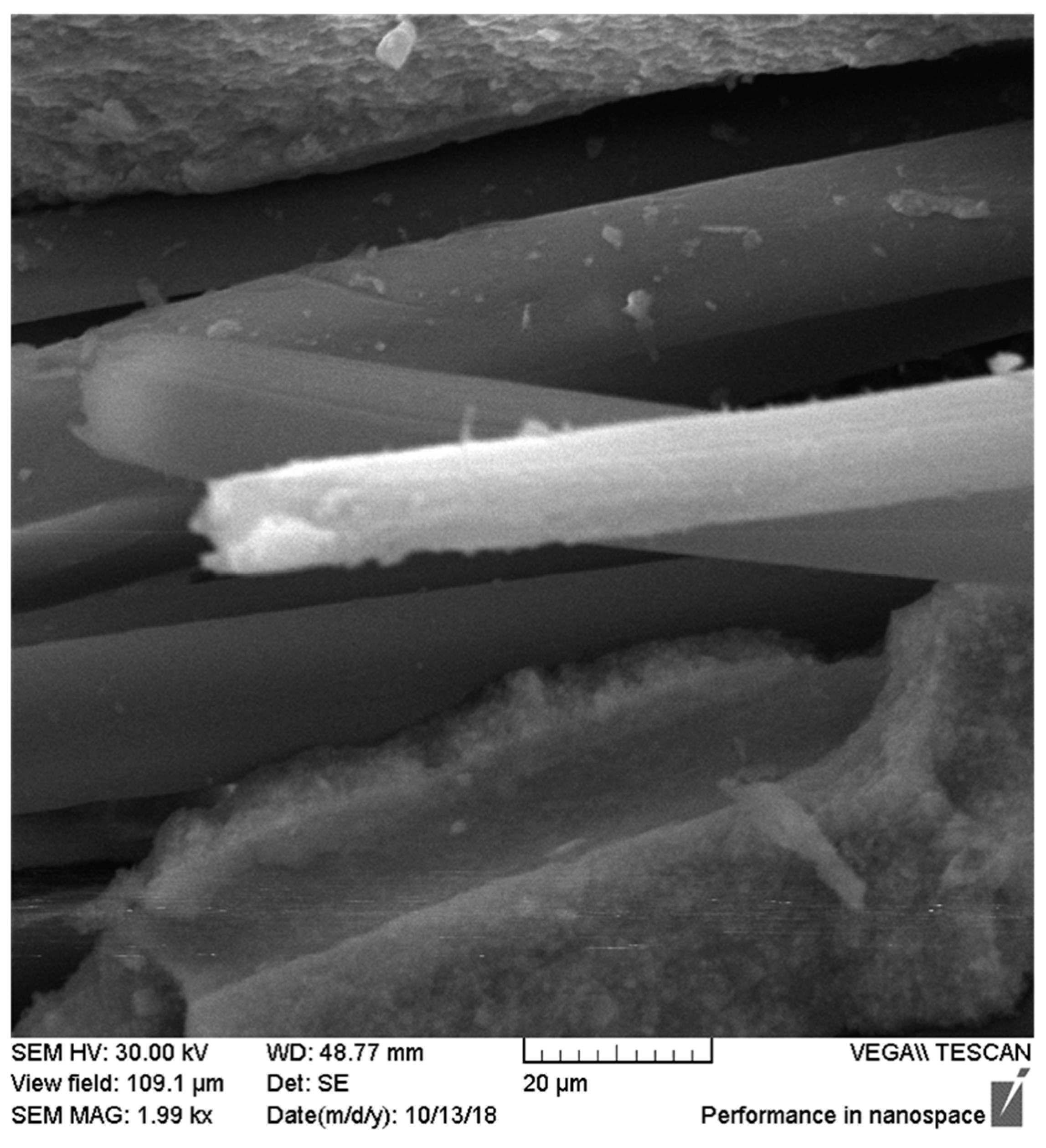 Applied Sciences | Free Full-Text | Degradation of a Micro-Hybrid ...
