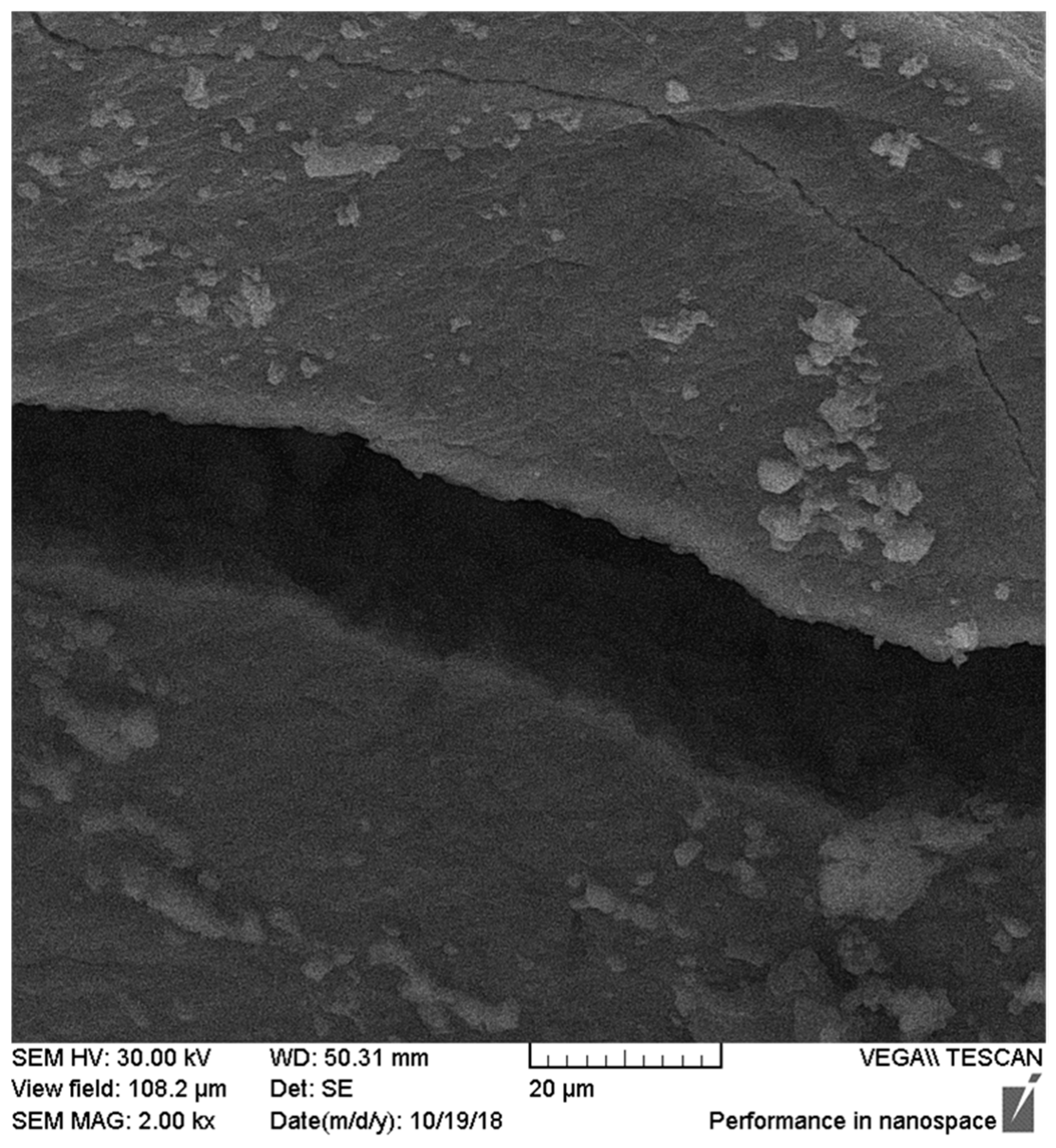 Applied Sciences | Free Full-Text | Degradation of a Micro-Hybrid ...
