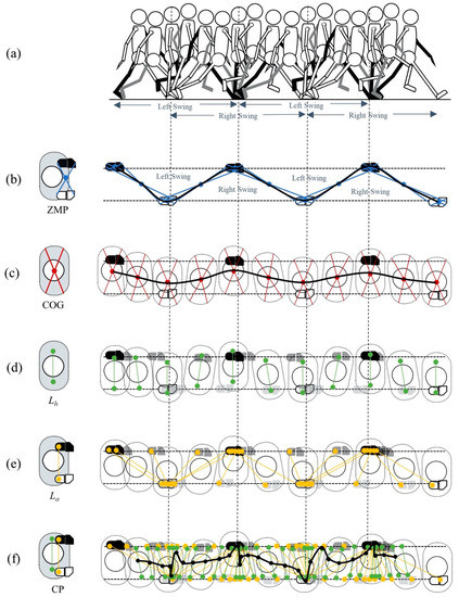 An Approach to Human Walking Analysis Based on Balance, Symmetry and ...