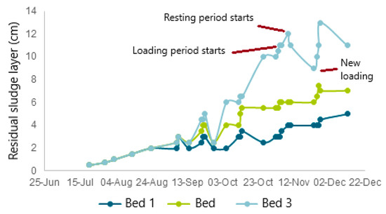 Sustainable Dewatering of Industrial Sludges in Sludge Treatment Reed ...