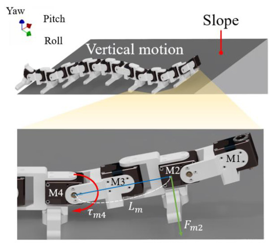 Snake Robot with Driving Assistant Mechanism