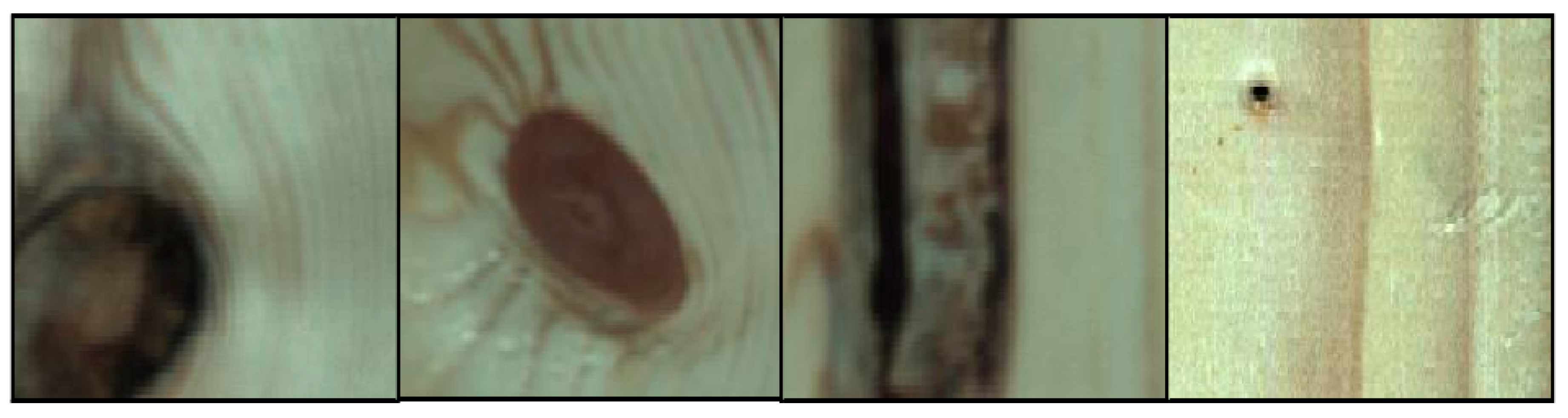 Wood Defect Detection Based on Depth Extreme Learning Machine