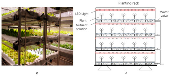 Laser and LED Hybrid Plant Lighting System Design Based on the Particle ...
