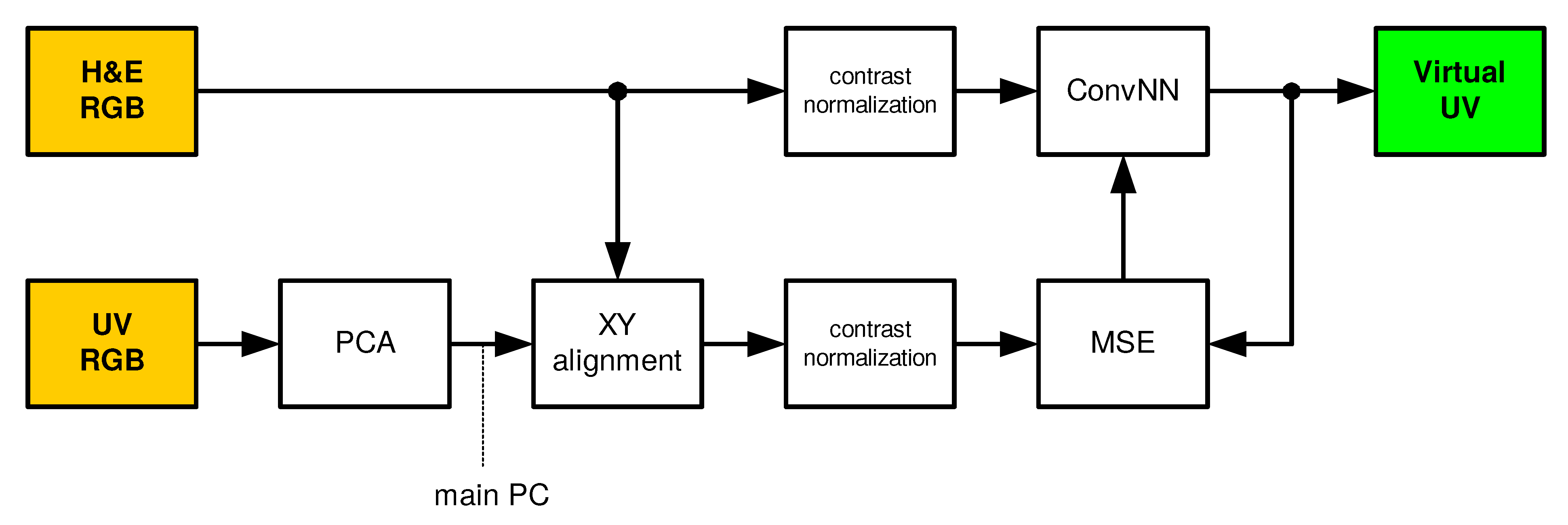 Virtual UV Fluorescence Microscopy from Hematoxylin and Eosin Staining ...