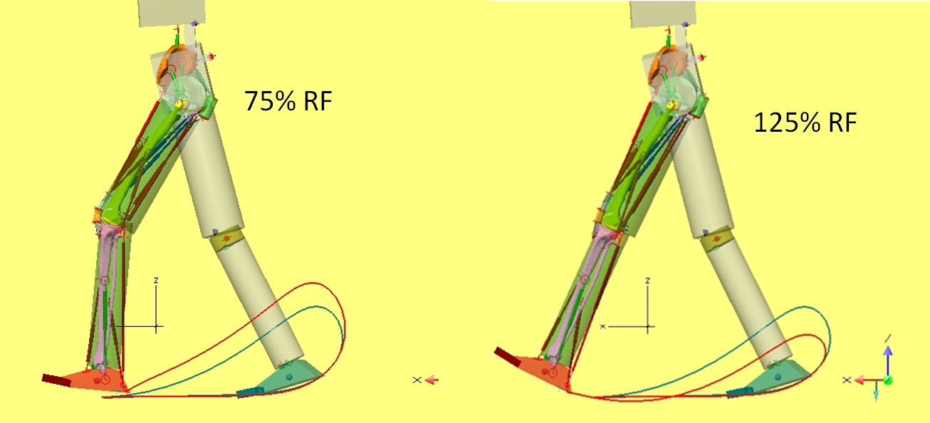 Applied Sciences | Free Full-Text | The Effects of the Rectus Femoris ...