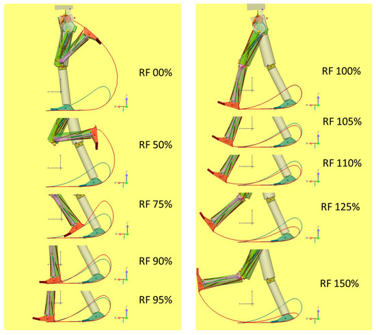 The Effects of the Rectus Femoris Muscle on Knee and Foot Kinematics ...