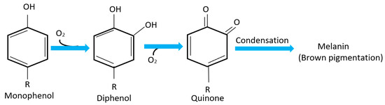 Freshness Monitoring of Packaged Vegetables