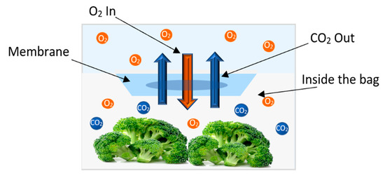 Freshness Monitoring of Packaged Vegetables