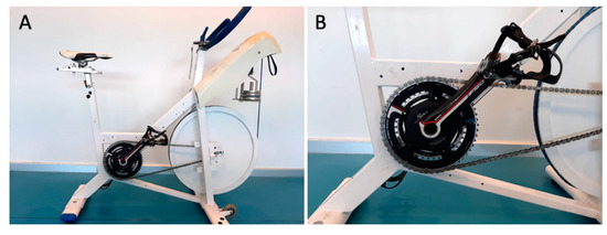 Wingate Test Wingate Anaerobic Test (WANT) And Anaerobic Peak Lactate