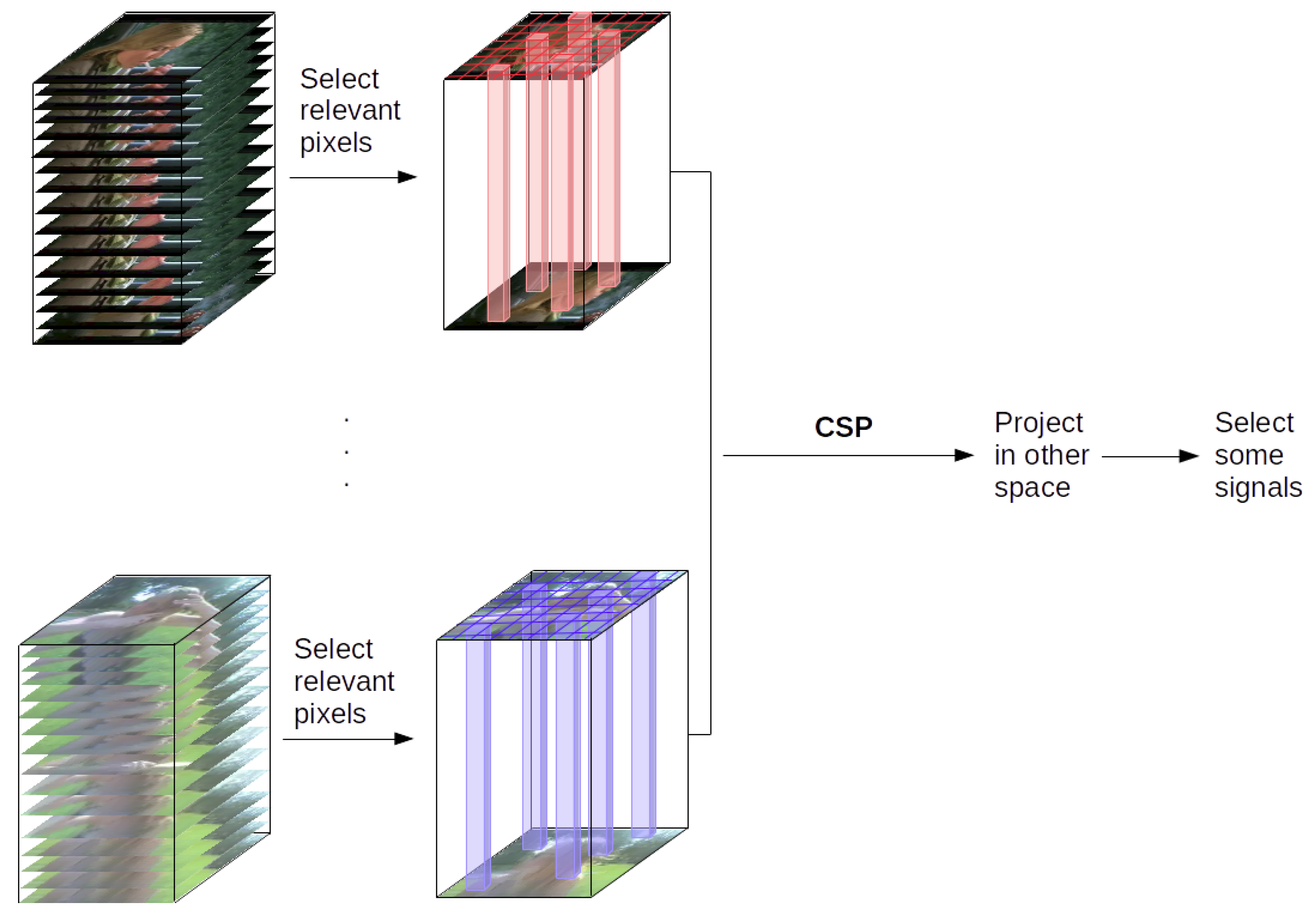 Using Common Spatial Patterns to Select Relevant Pixels for Video Activity Recognition