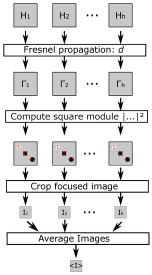 Speckle Noise Reduction in Digital Holography Using a DMD and Multi-Hologram Resampling