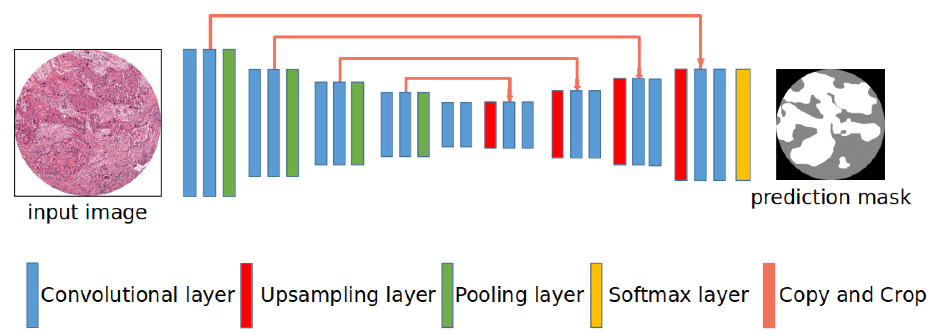 Deep Learning-Based Pixel-Wise Lesion Segmentation on Oral Squamous ...