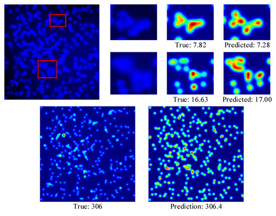 A Cell Counting Framework Based on Random Forest and Density Map
