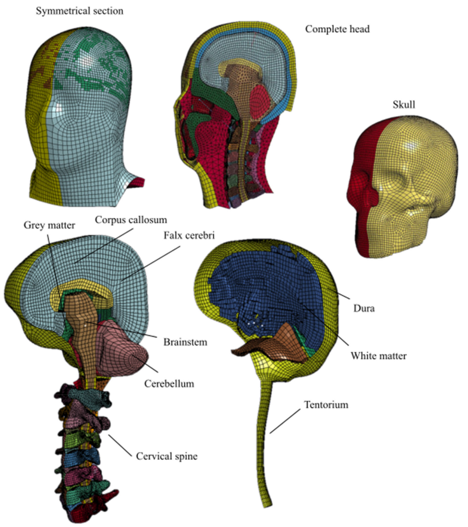 Evaluation of Combat Helmet Behavior under Blunt Impact
