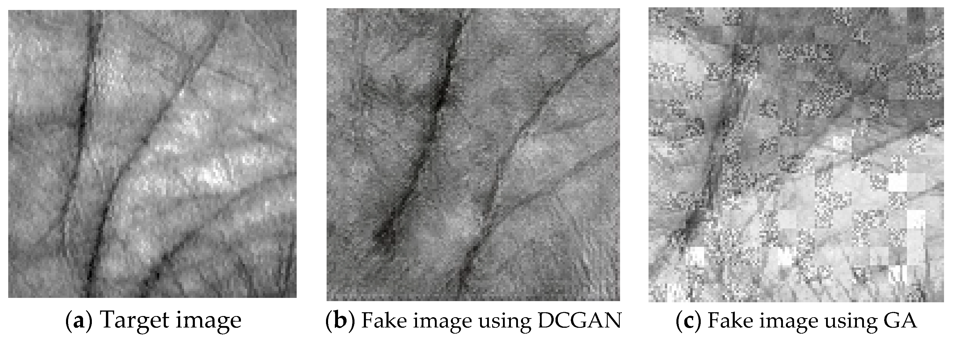 Palmprint False Acceptance Attack with a Generative Adversarial Network (GAN)