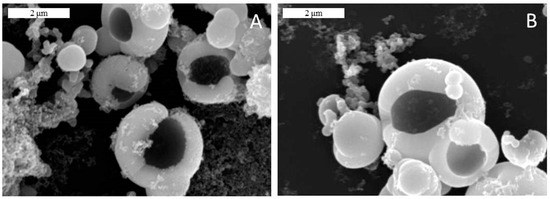 Liquid–Solid Core-Shell Microcapsules of Calcium Carbonate Coated ...