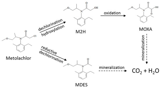 Isolation, Degradation Performance and Field Application of the ...