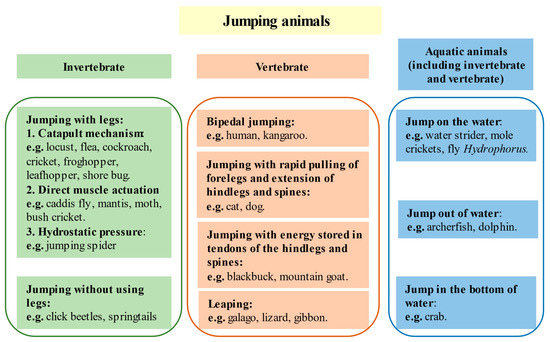 Jumping Locomotion Strategies: From Animals to Bioinspired Robots