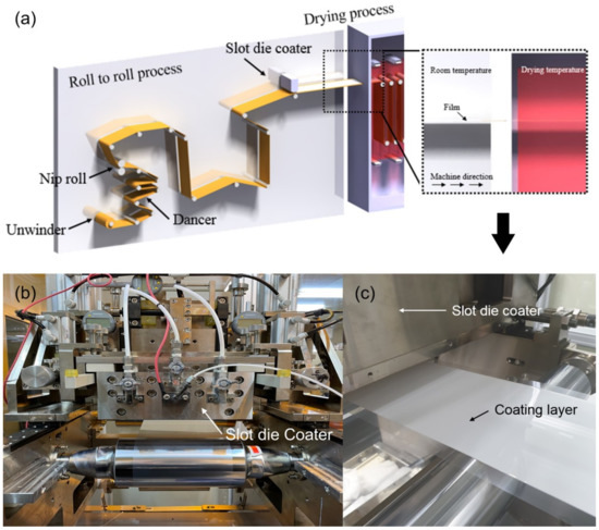 Web Unevenness Due to Thermal Deformation in the Roll-to-Roll ...