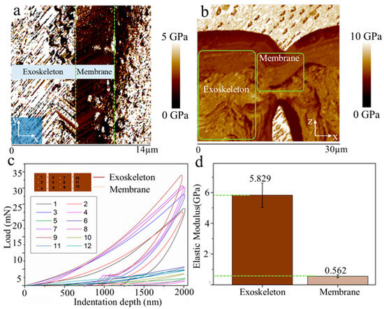 The Balance Strategy between Structural Safety and Sensing Accuracy ...