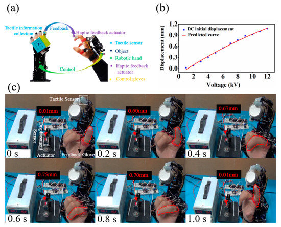 A Haptic Feedback Actuator Suitable for the Soft Wearable Device