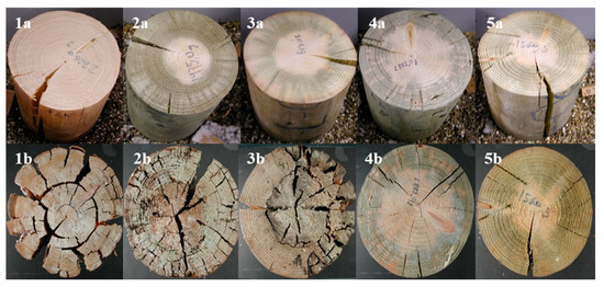 Influence of Soil Characteristics on Wood Biodeterioration by Brown Rot ...