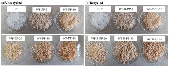 Effect of Wood Fiber Loading on the Chemical and Thermo-Rheological ...