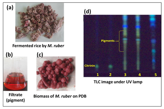 Applied Sciences | Free Full-Text | Isolation and Optimization of ...