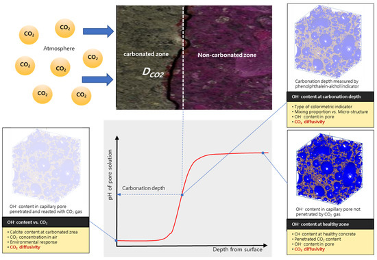 Time Evolution of CO2 Diffusivity of Carbonated Concrete